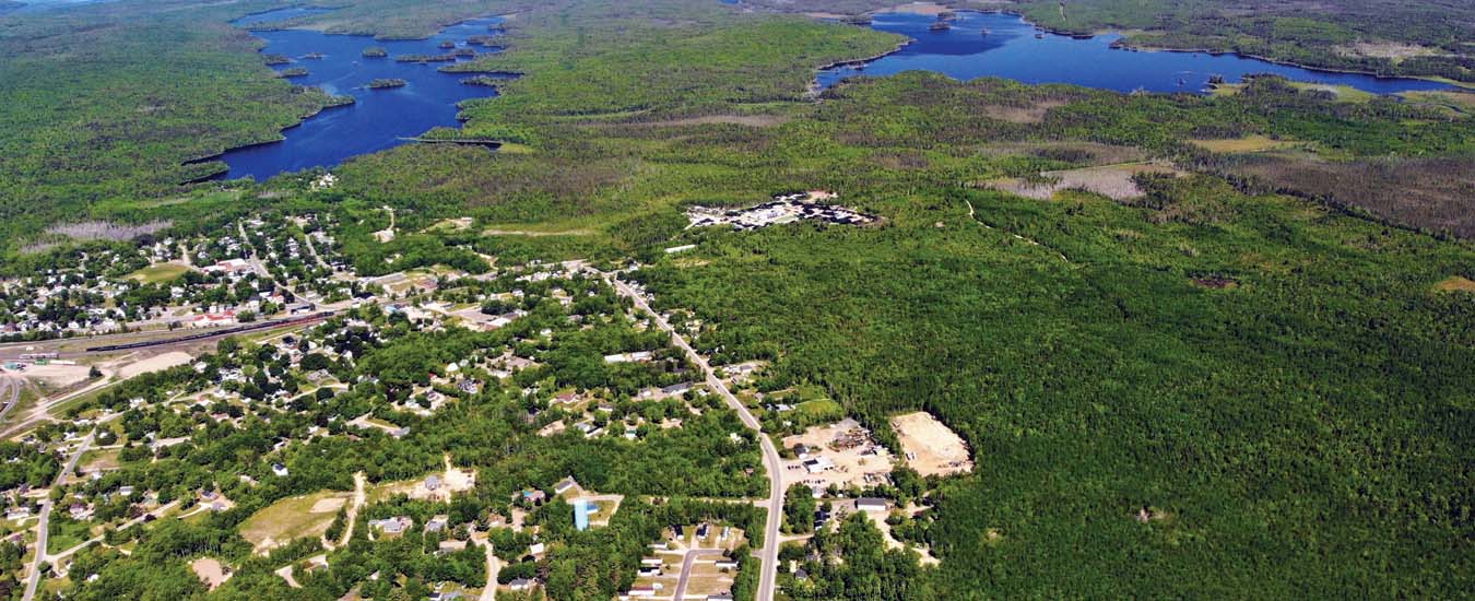 In McAdam, it’s the living who are getting busy - Saltscapes