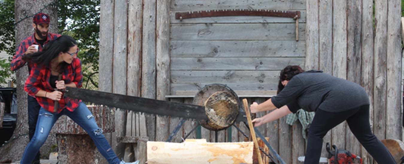 Cadillacs, cannons, and sea caves - Saltscapes
