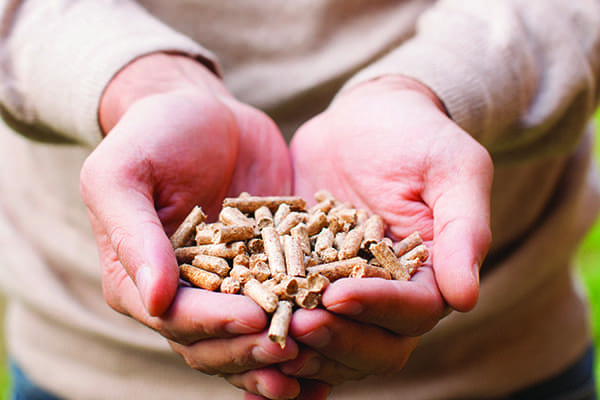 Plenty of Pellets - Saltscapes