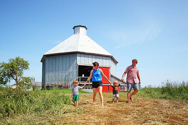 This Old Barn - Saltscapes