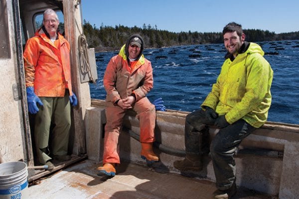 Oysters & Mussels Alive, Alive-o - Saltscapes